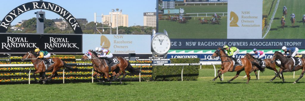 Racing - Double R Group