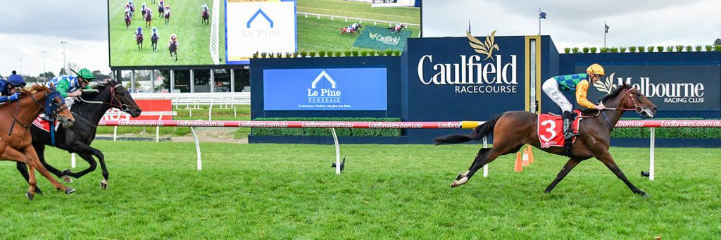 Racing - Double R Group